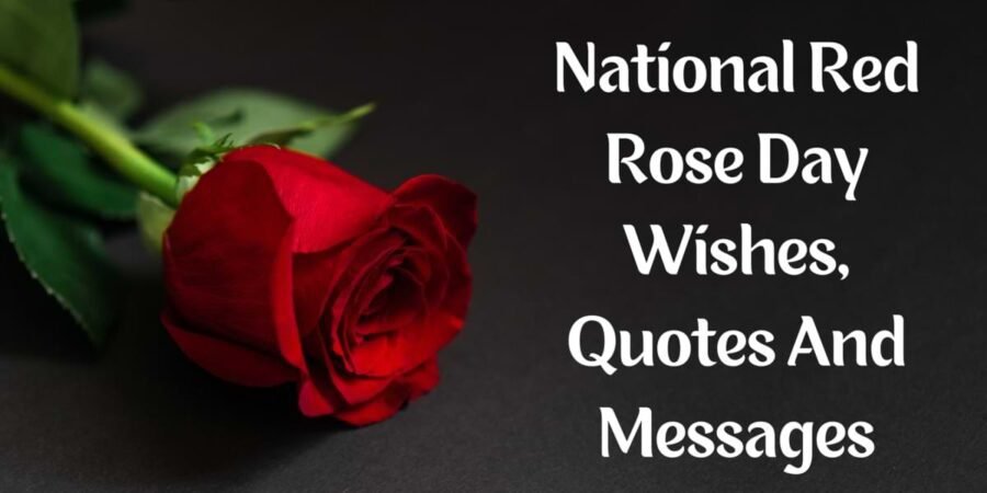 200+ National Red Rose Day 2025: Wishes, Quotes & Messages - Shayari lyrics
